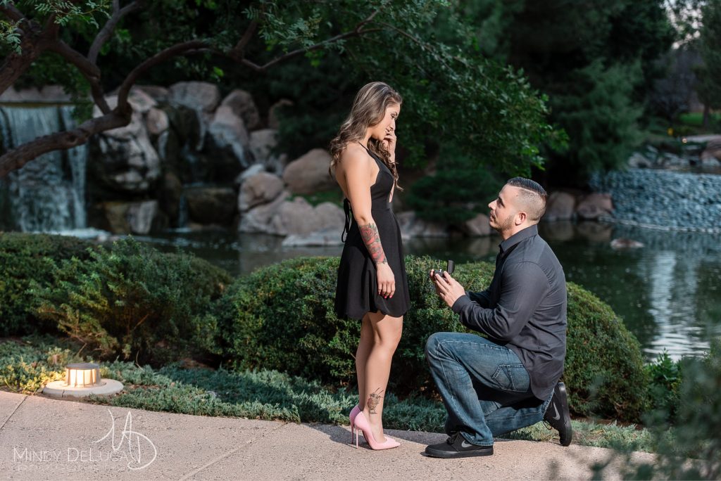 ROMANTIC JAPANESE GARDEN WEDDING PROPOSAL: Phoenix, AZ Photographer ...